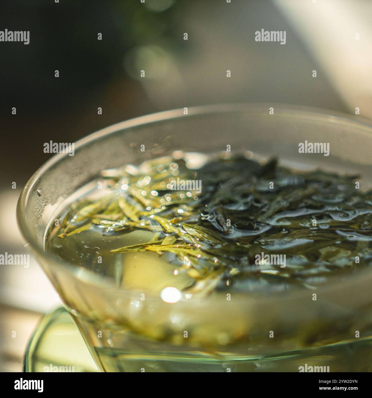 A detailed closeup view of delicate, fresh green tea leaves placed in a ...