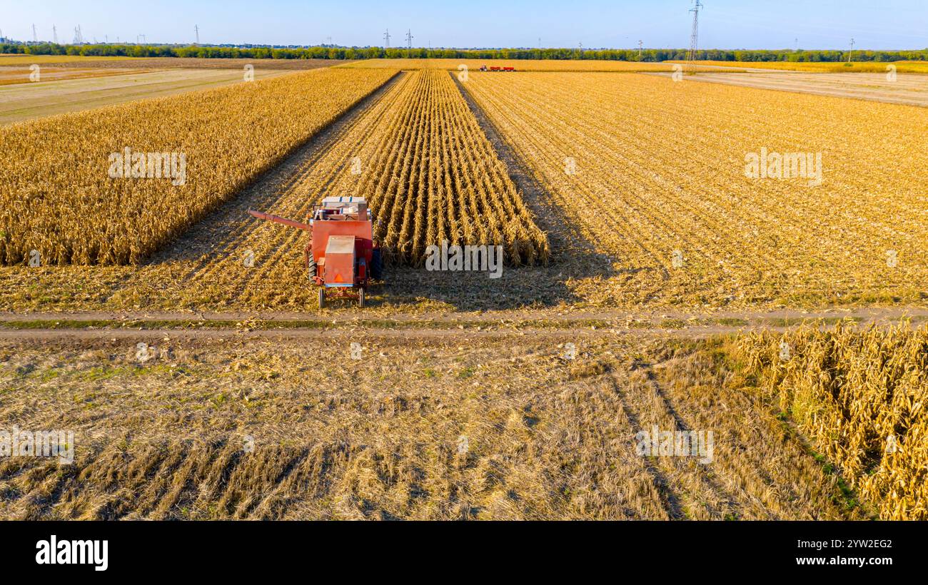 Above view at agricultural harvester is cutting and harvesting mature ...