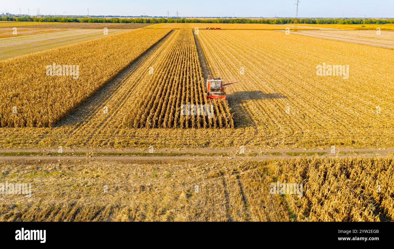 Above view at agricultural harvester is cutting and harvesting mature ...