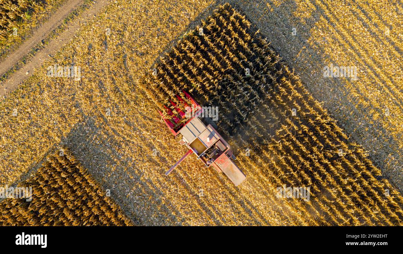 Above top view of agricultural harvester as cutting and harvesting ...