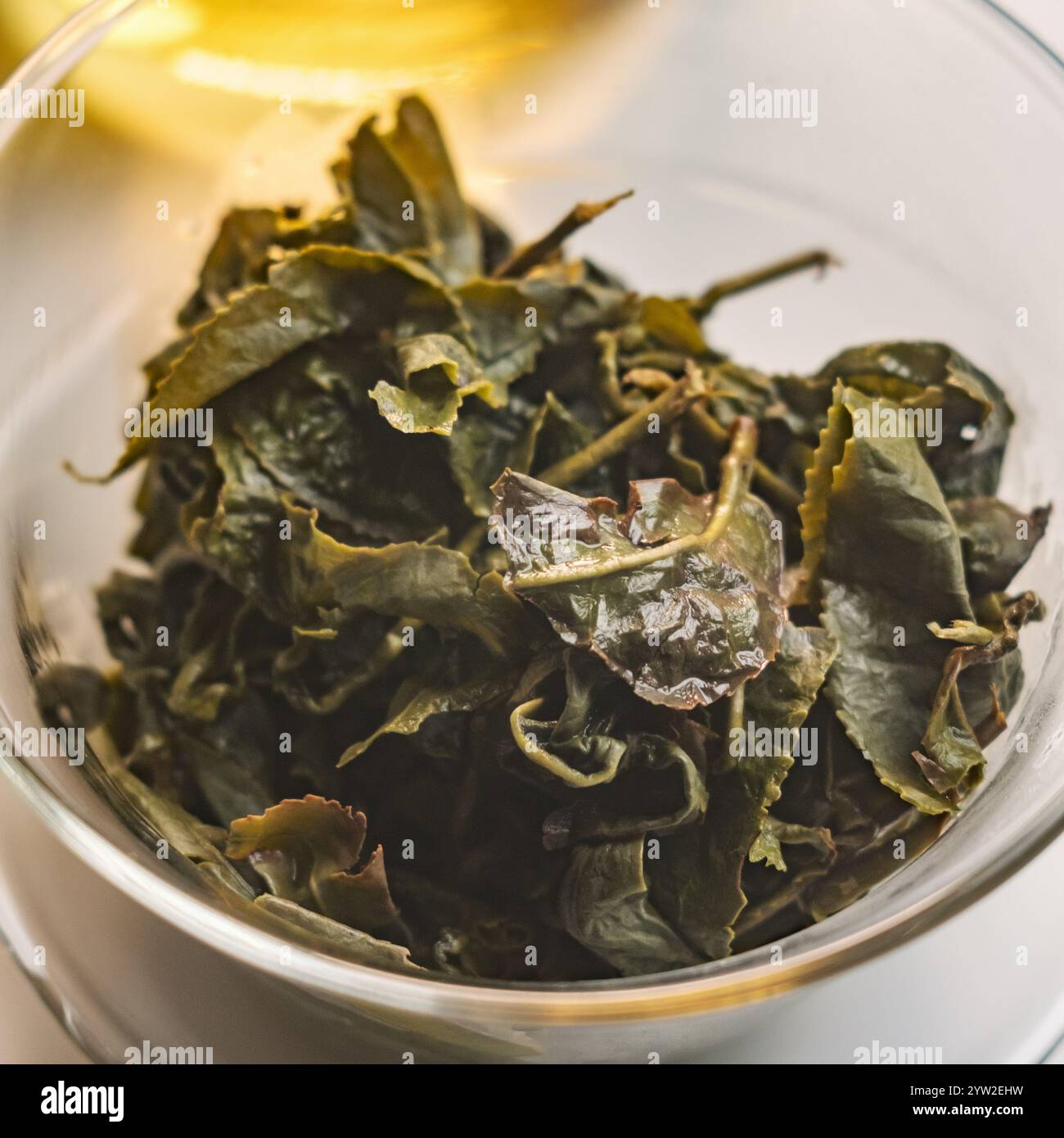 Explore the unique texture and flavor of dried green tea leaves to ...