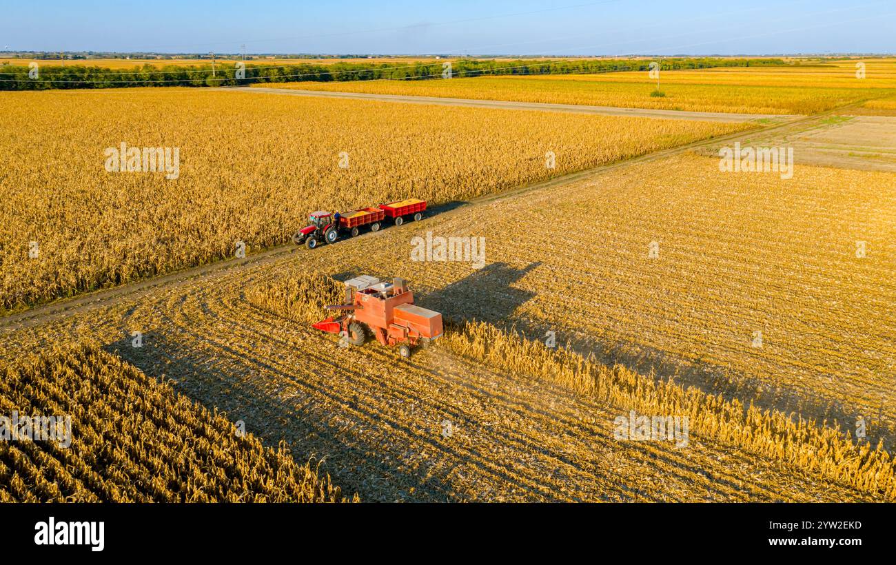 Above view at agricultural harvester is cutting and harvesting mature ...