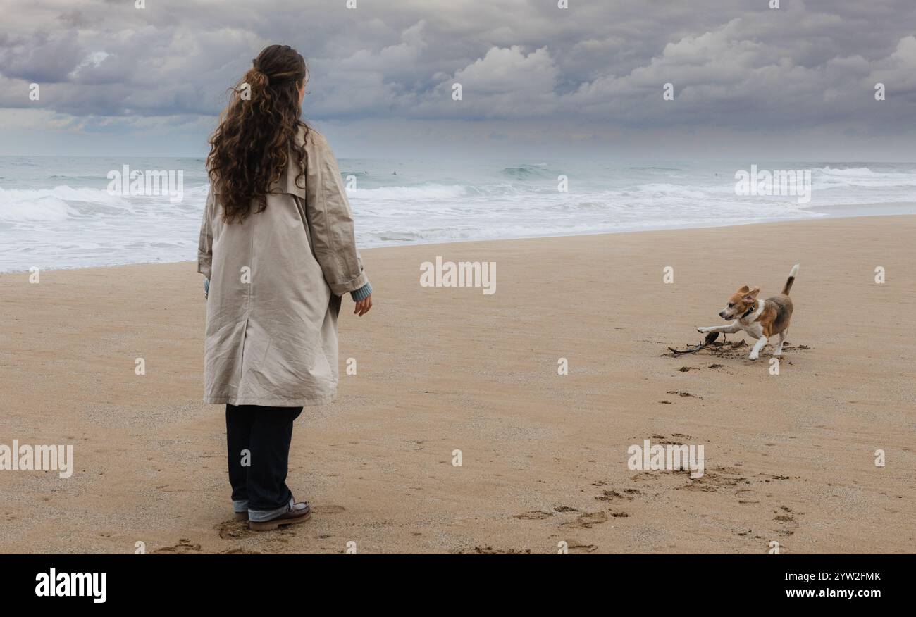 Lady playing beagle dog hi-res stock photography and images - Alamy