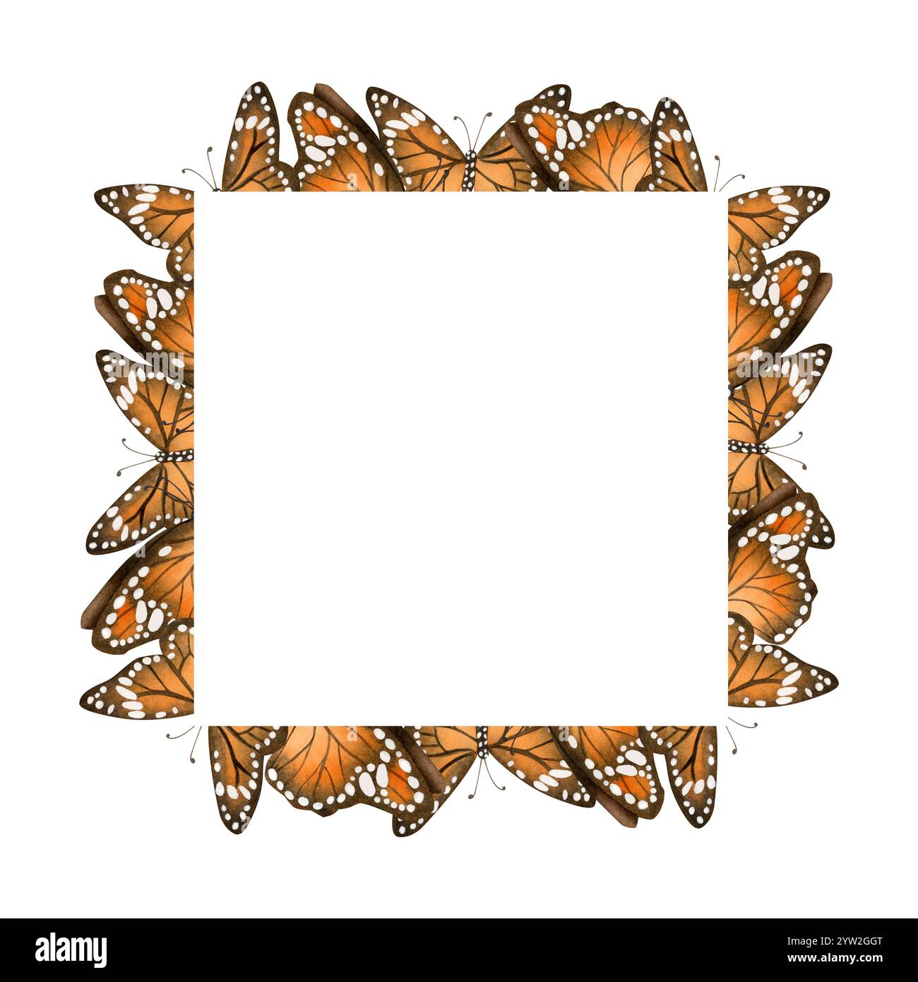 Orange and black butterflies square frame with copy space watercolor ...