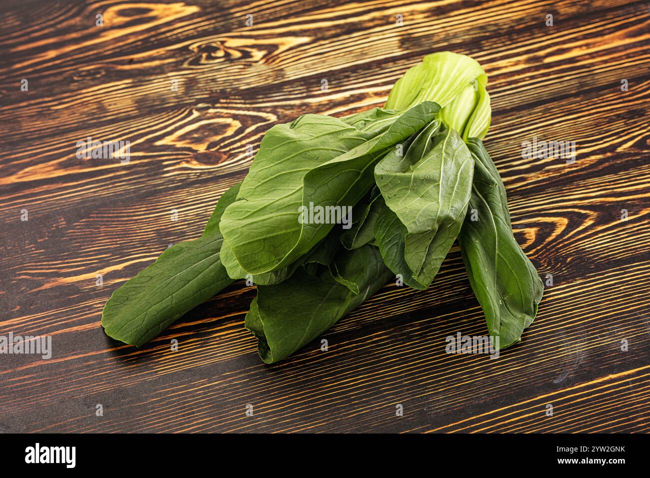 Raw asian Pak Choy salad cabbage Stock Photo - Alamy