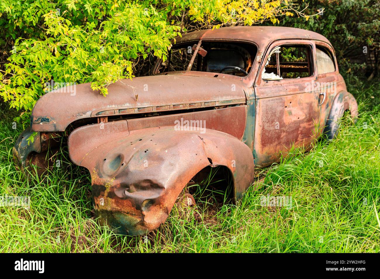 A rusted old car is sitting in a grassy field. The car is old and has a ...