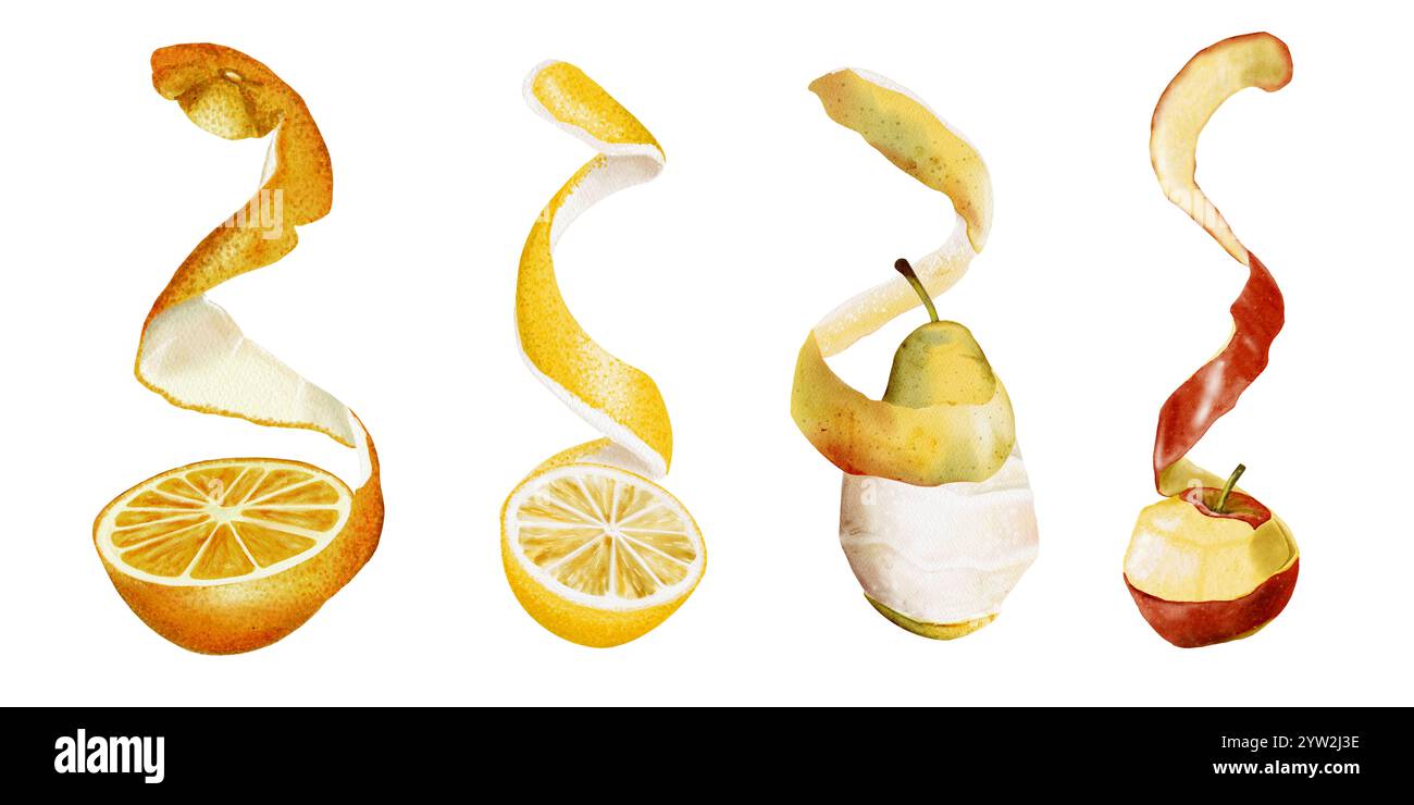 Peeled fruits. Long peel. Set with apple, pear, lemon and orange. The ...