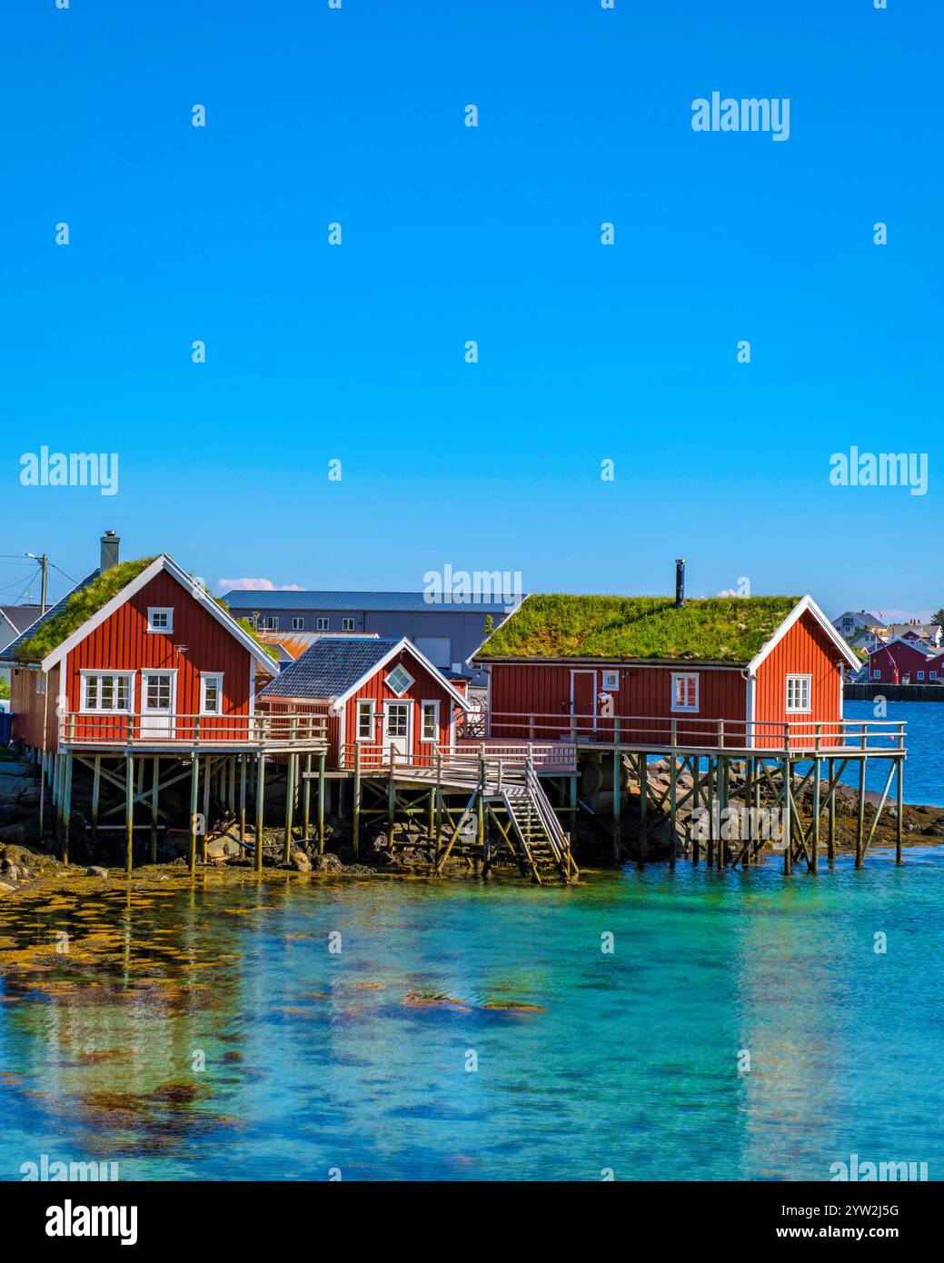 Reine, Lofoten, Norway, A group of traditional red houses with grass ...