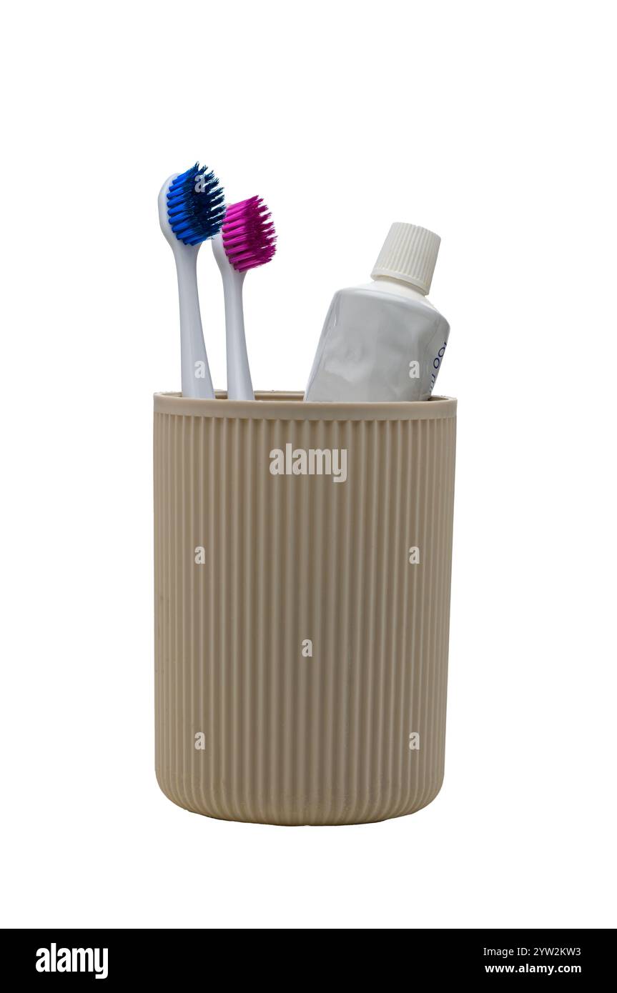 A modern beige holder showcases vibrant toothbrushes alongside a tube ...