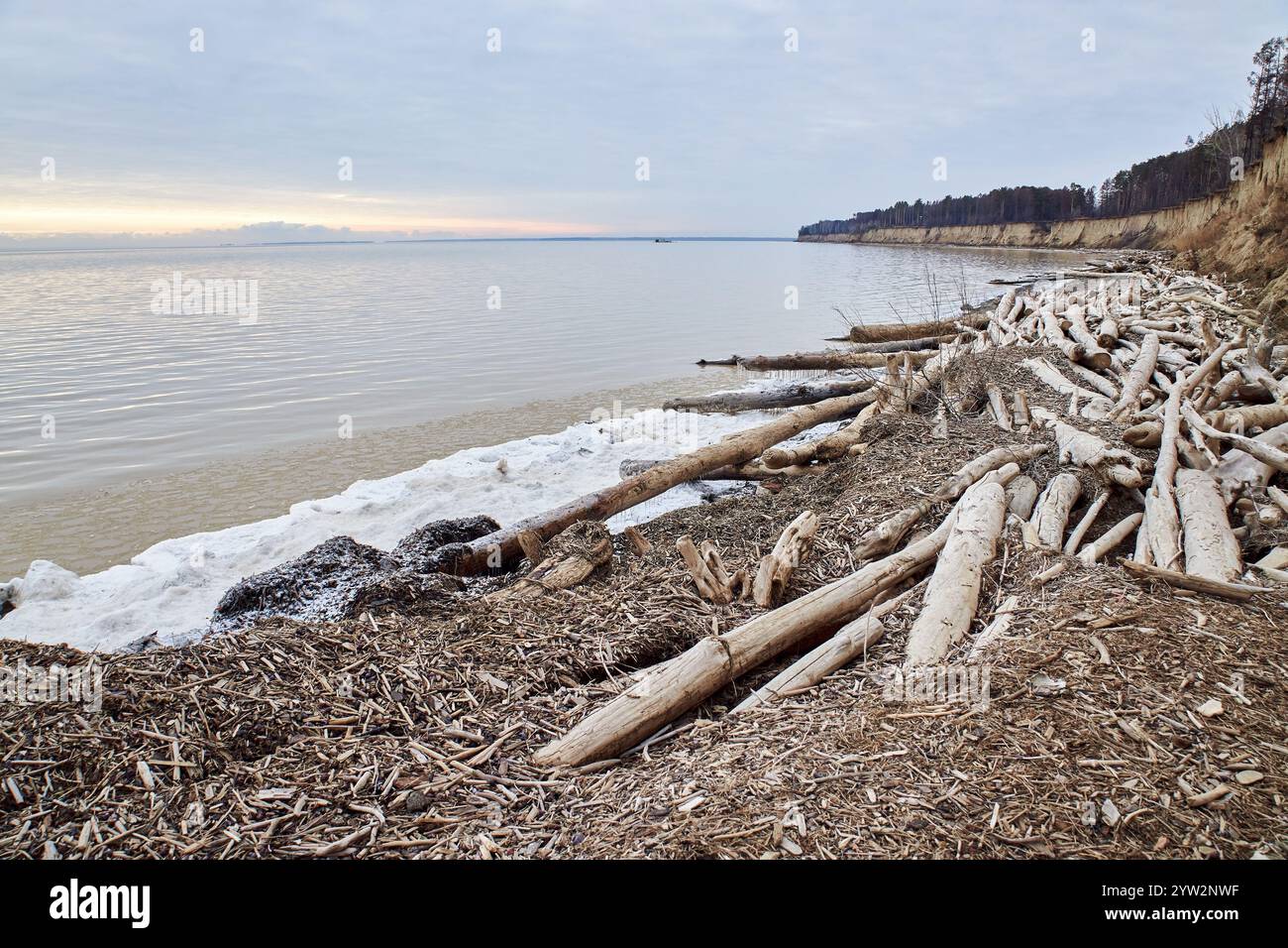 A lot of driftwood, coastal destruction. Water is eroding the coast ...