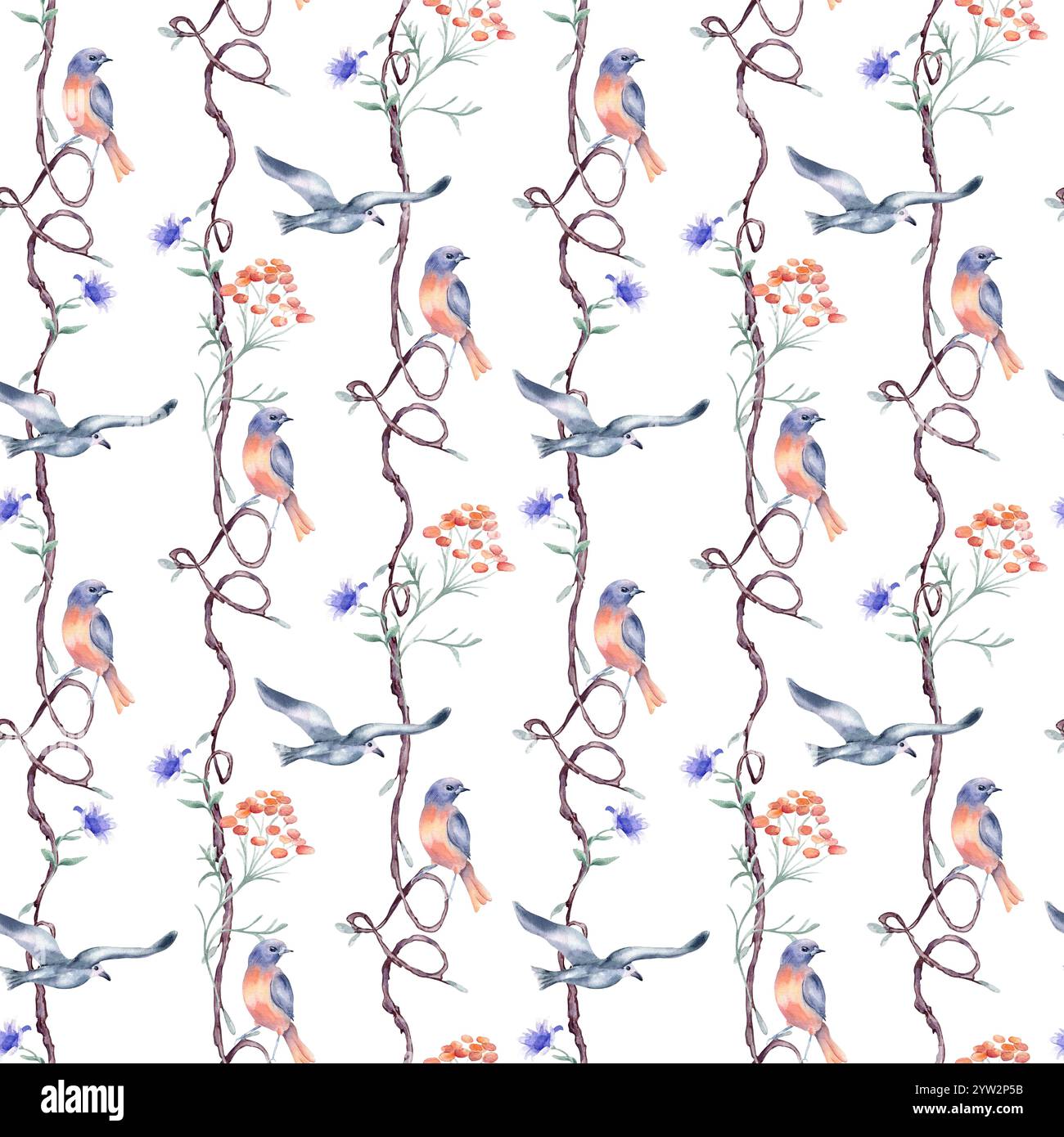 Birds of red, blue colors on repeating branches by watercolor isolated ...