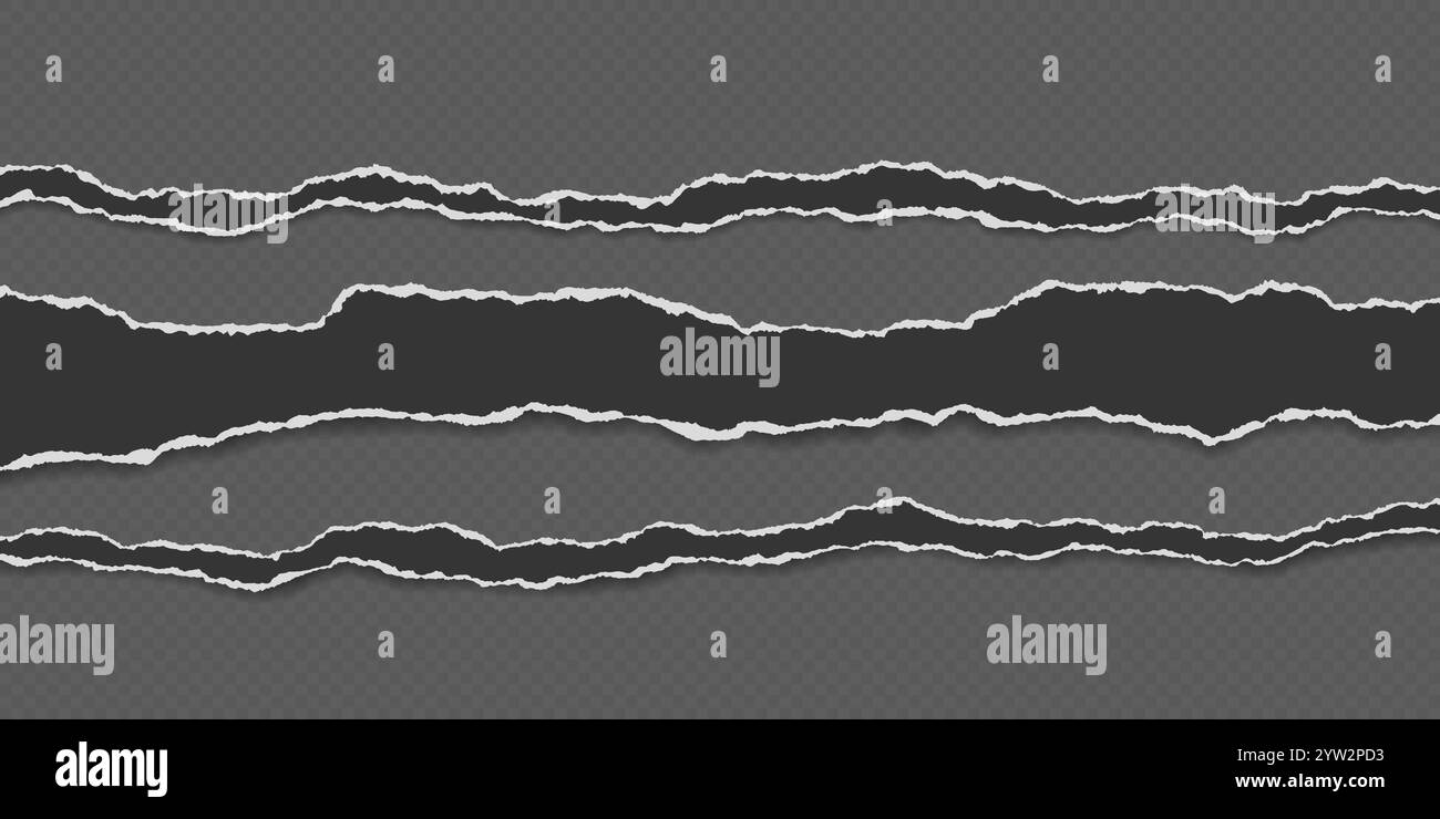 Black pieces of paper with torn edges and soft shadow are on ...