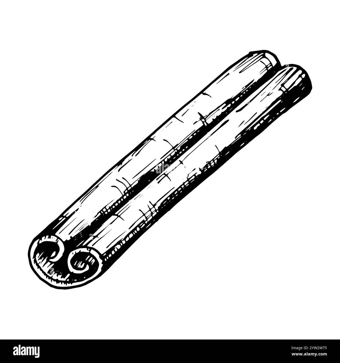 Hand drawn vector clipart of a cinnamon stick in detailed black and ...