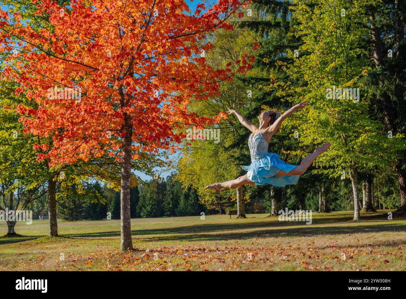 Graceful dancer leaps hi-res stock photography and images - Alamy