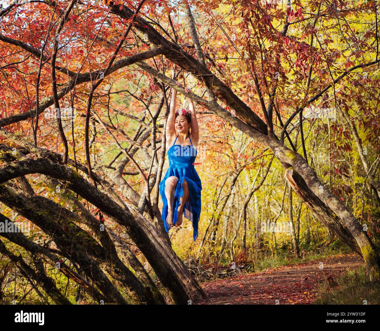 Tree branch amidst foliage hi-res stock photography and images - Alamy