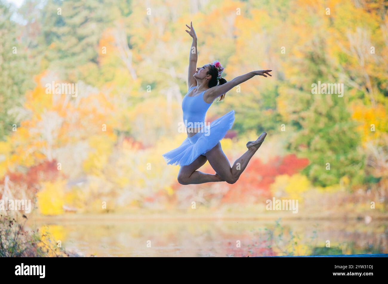 Ballet dancer performing a jump against an autumnal forest backdrop ...
