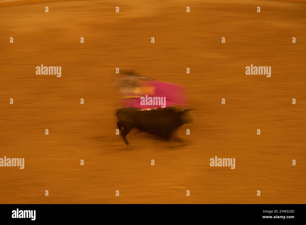 Blurred motion of a bull and matador in a bullfighting arena, captured ...