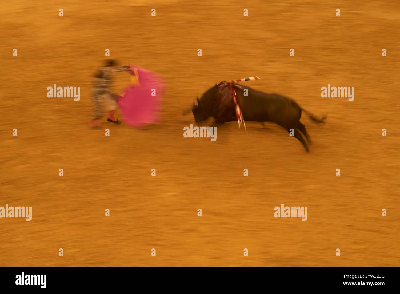 Blurred motion of a bull and matador in a bullfighting arena, captured ...