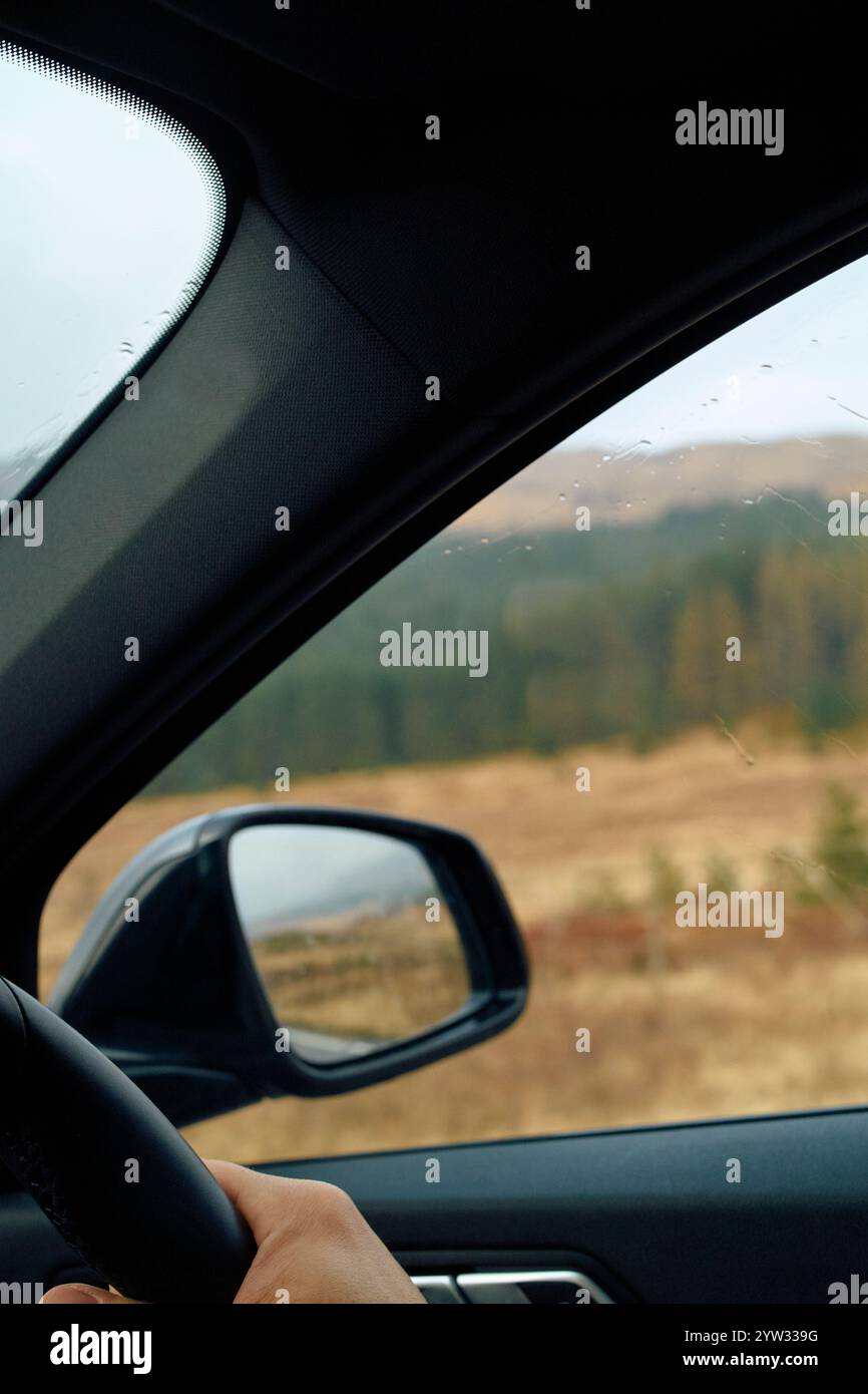 Showing its side view hi-res stock photography and images - Alamy