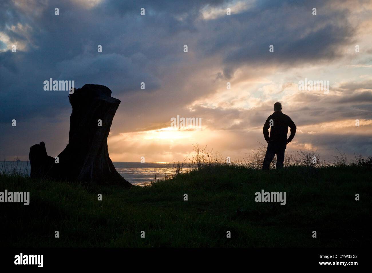Silhouette view tree stump sunset hi-res stock photography and images ...