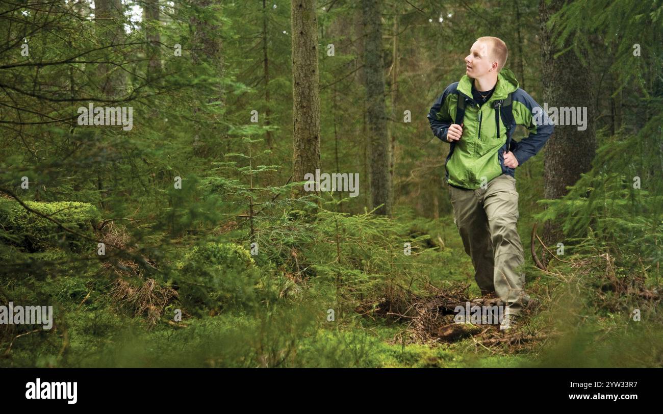 Hiking through the dense woods of the Black Forest in southern Germany ...