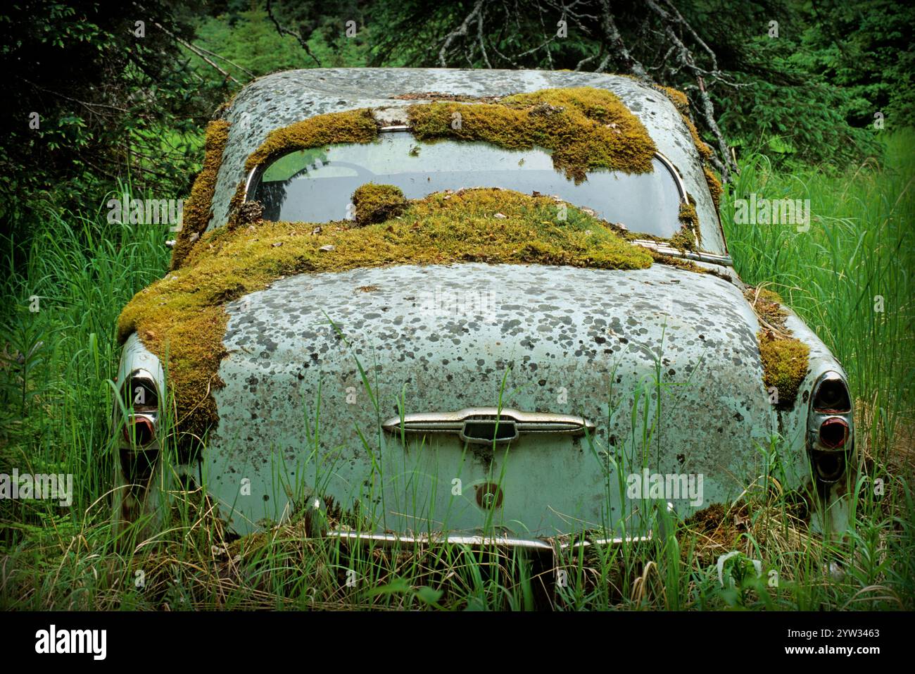 Old wrecked covered car hi-res stock photography and images - Alamy