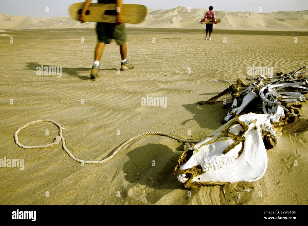 Two local sandboarders in the Ica Desert, Peru Stock Photo - Alamy
