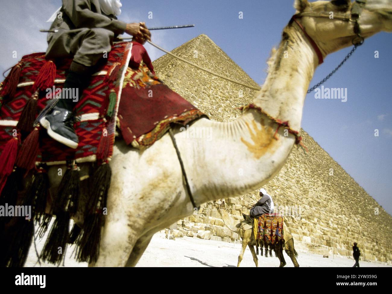 Camel drivers in front of the Great Pyramid of Khufu (Cheops), Giza ...