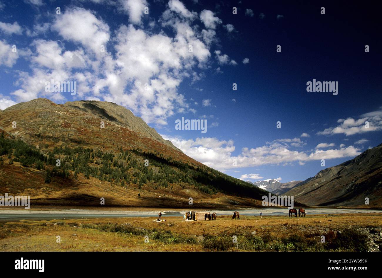 Hiking accross the Atlai Mountains, Tavanbogd National Park, Mongolia ...