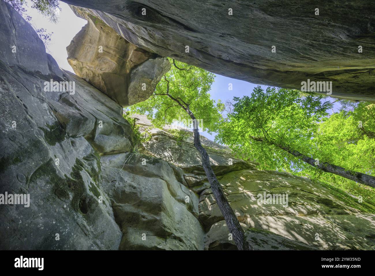 Trapped boulder in the Jardin du Roi, Gres d'Annot sandstone labyrinth ...