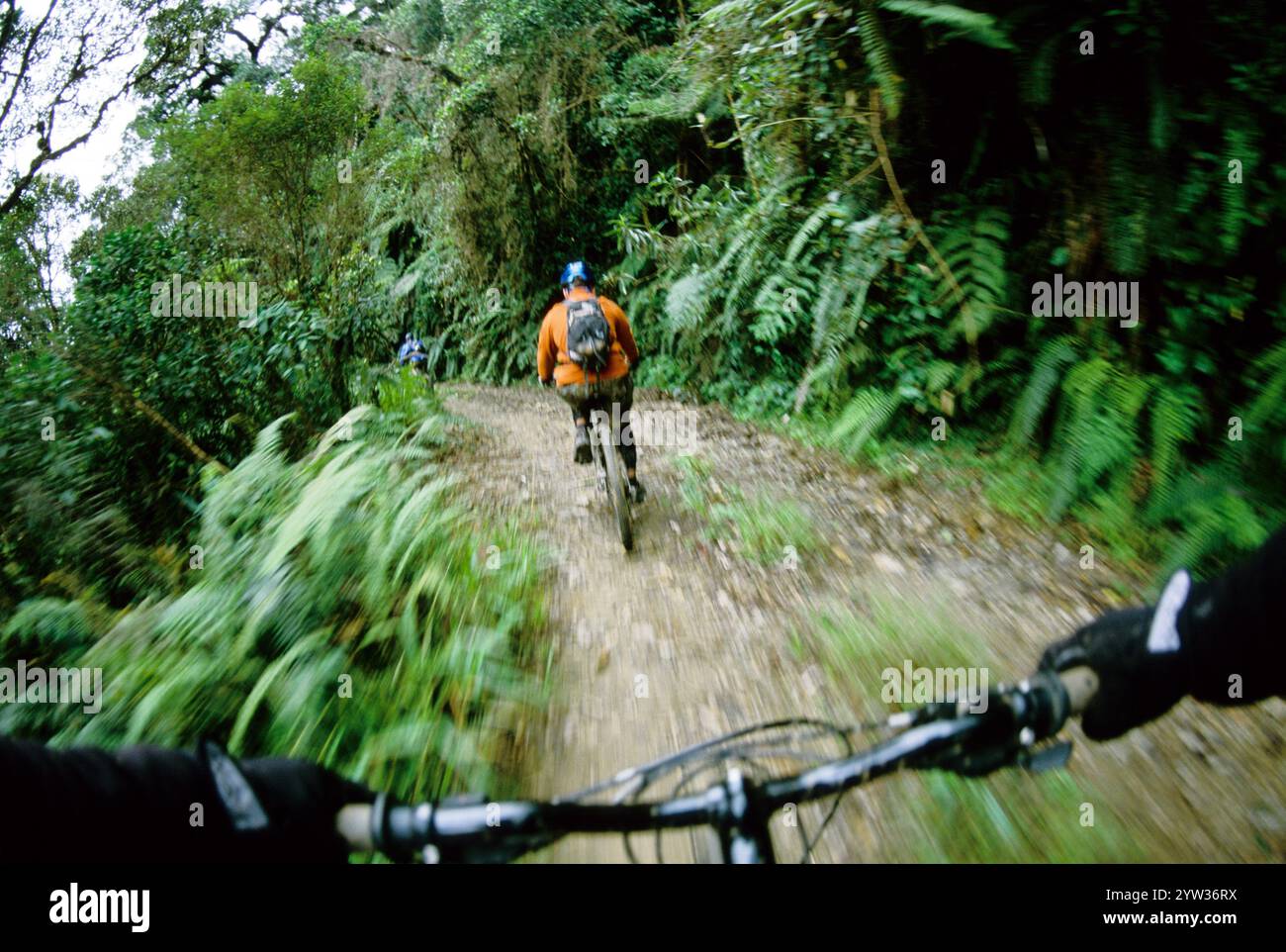 Two mountain bikers racing down a trail in the jungle in Bolivia ...