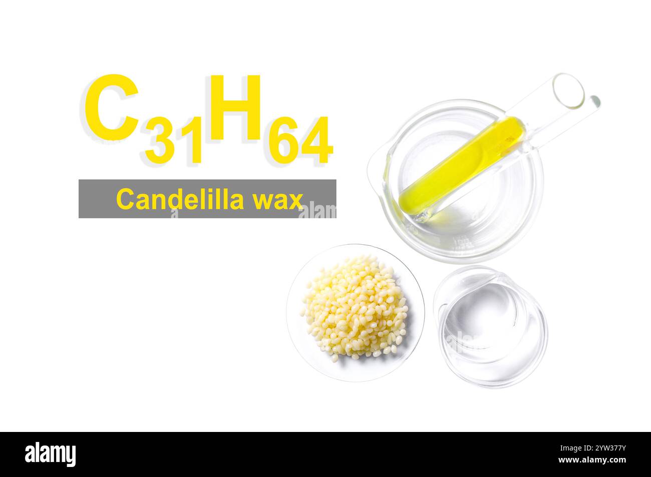 Candelilla wax with molecular formula C31H64. Chemical ingredient for ...