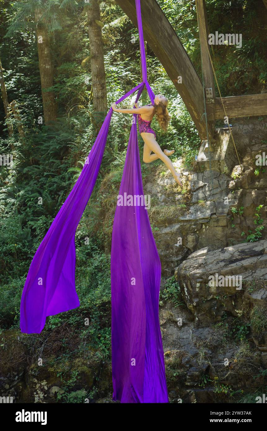 Aerial silk performer executing a pose under a bridge in purple fabric suspended from a tree in ...