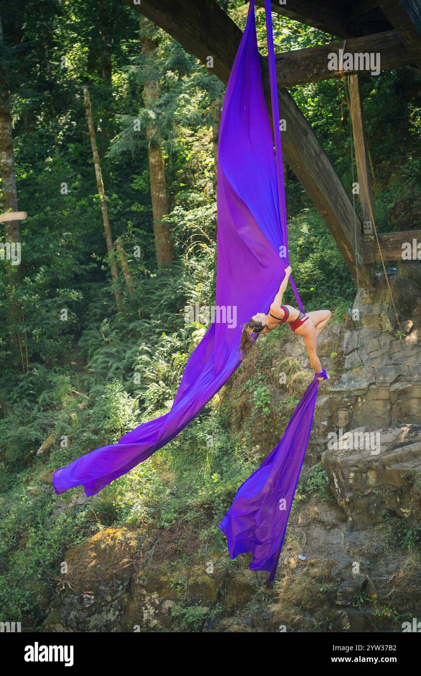 Aerial performer demonstrating a pose with purple silk fabric suspended ...