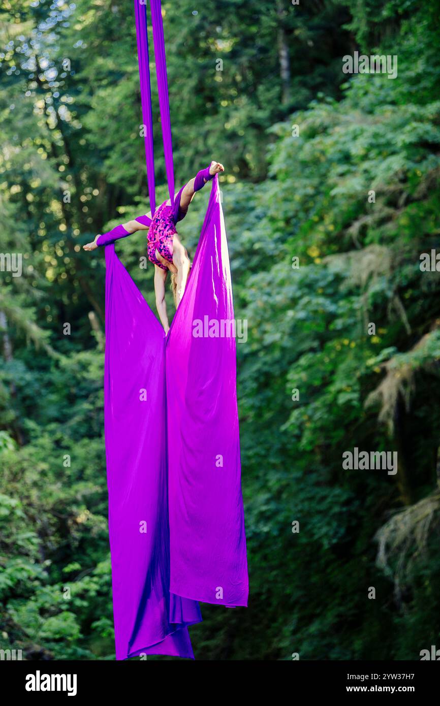 Aerial silk performer executing a pose with purple fabric in a lush ...