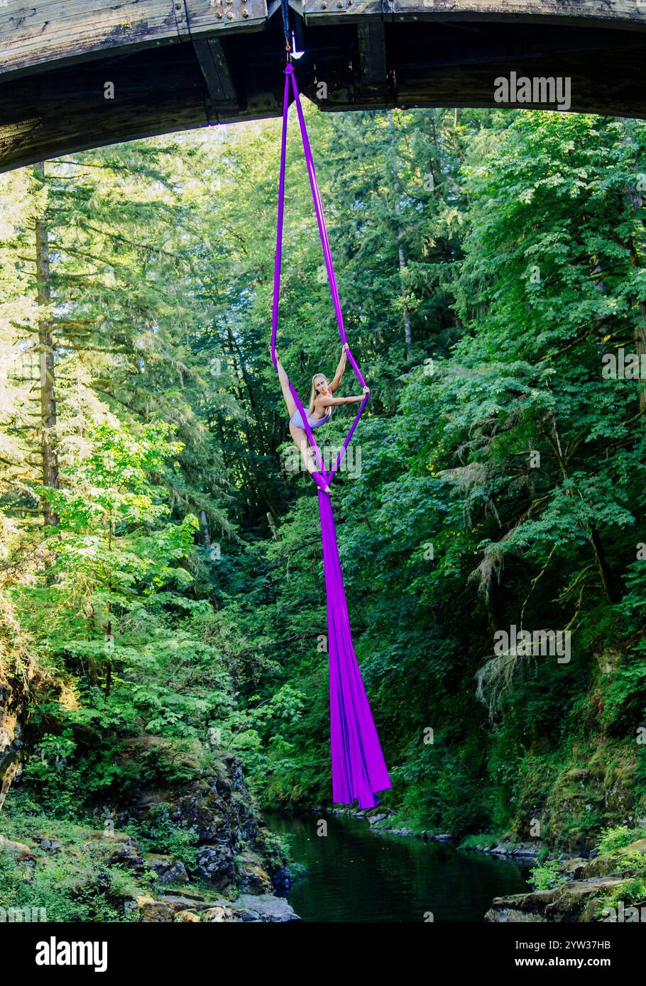 Serene forest scene vibrant hi-res stock photography and images - Alamy