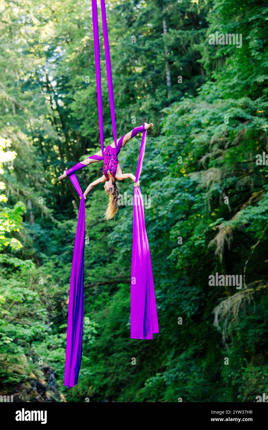 Aerial performer hangs upside down from vibrant purple silks amidst a ...