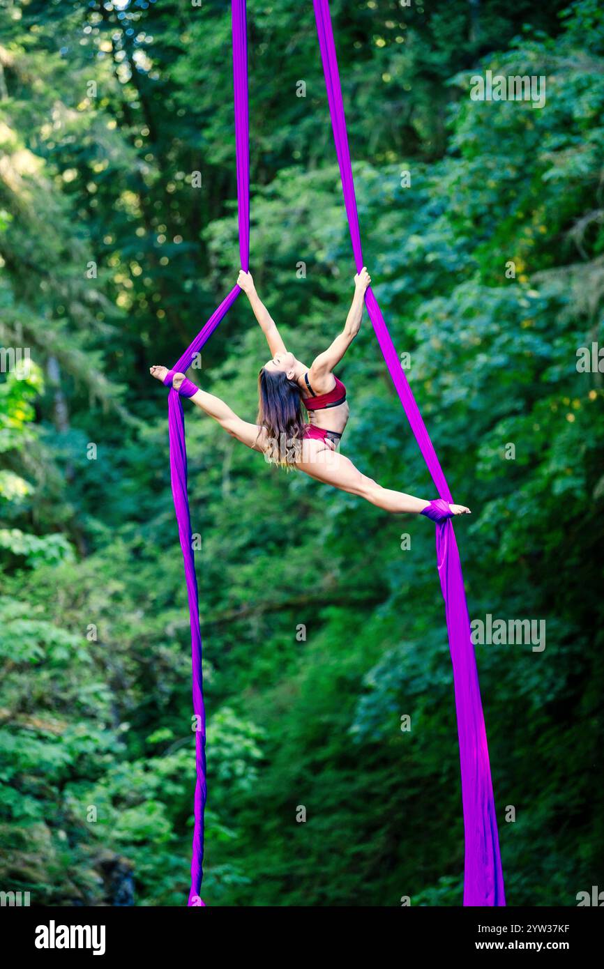 Aerial performer executing a pose on purple silks amidst a lush green ...