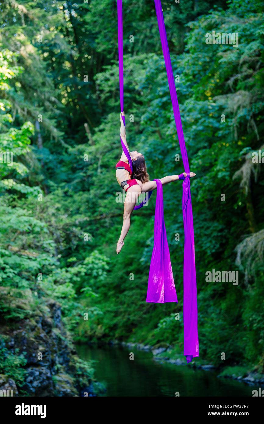 An aerial silk performer executes a pose with purple fabric against a ...