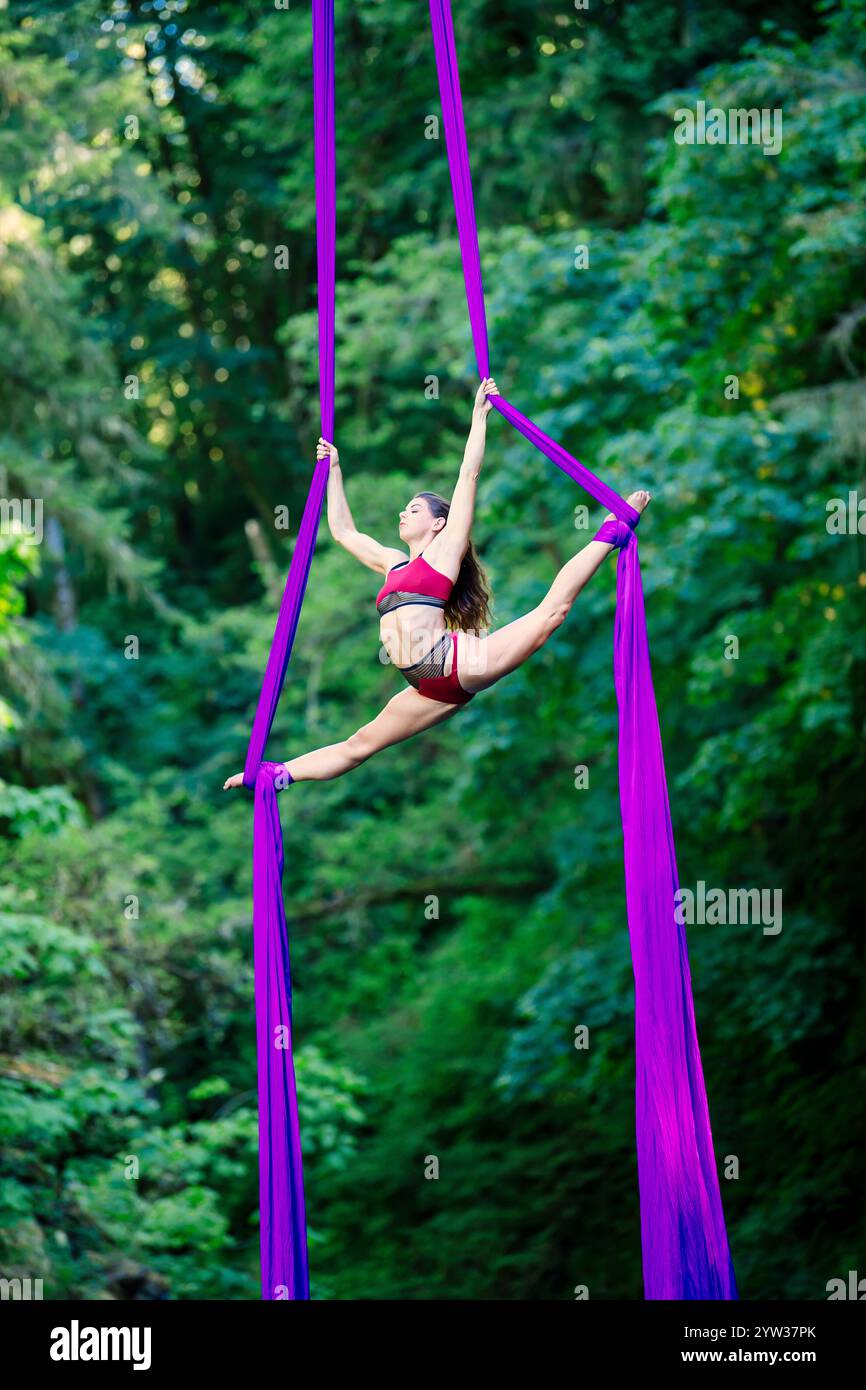 Aerial silk performer executing a graceful pose in vibrant purple silks ...
