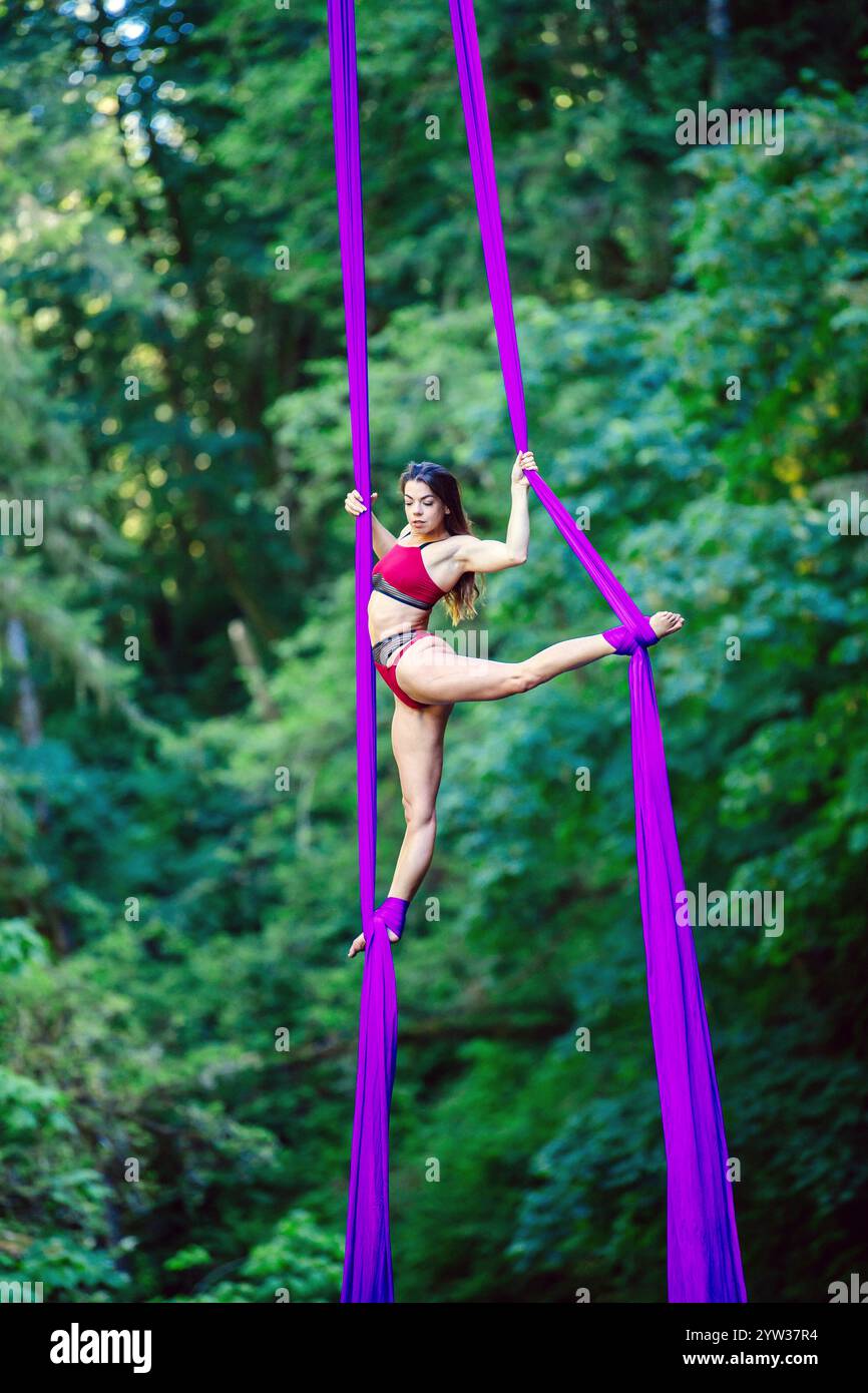 Aerial silks performer executing a pose in mid-air with vibrant purple silk fabric in a lush ...