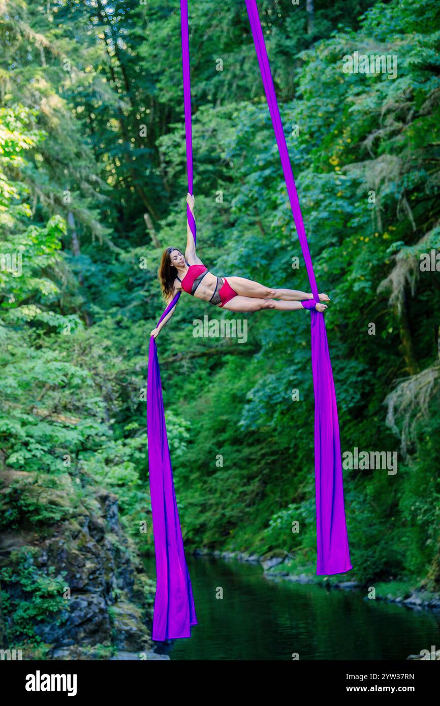 Aerial silk performer demonstrating a pose in vibrant purple silks above a forested river, USA ...
