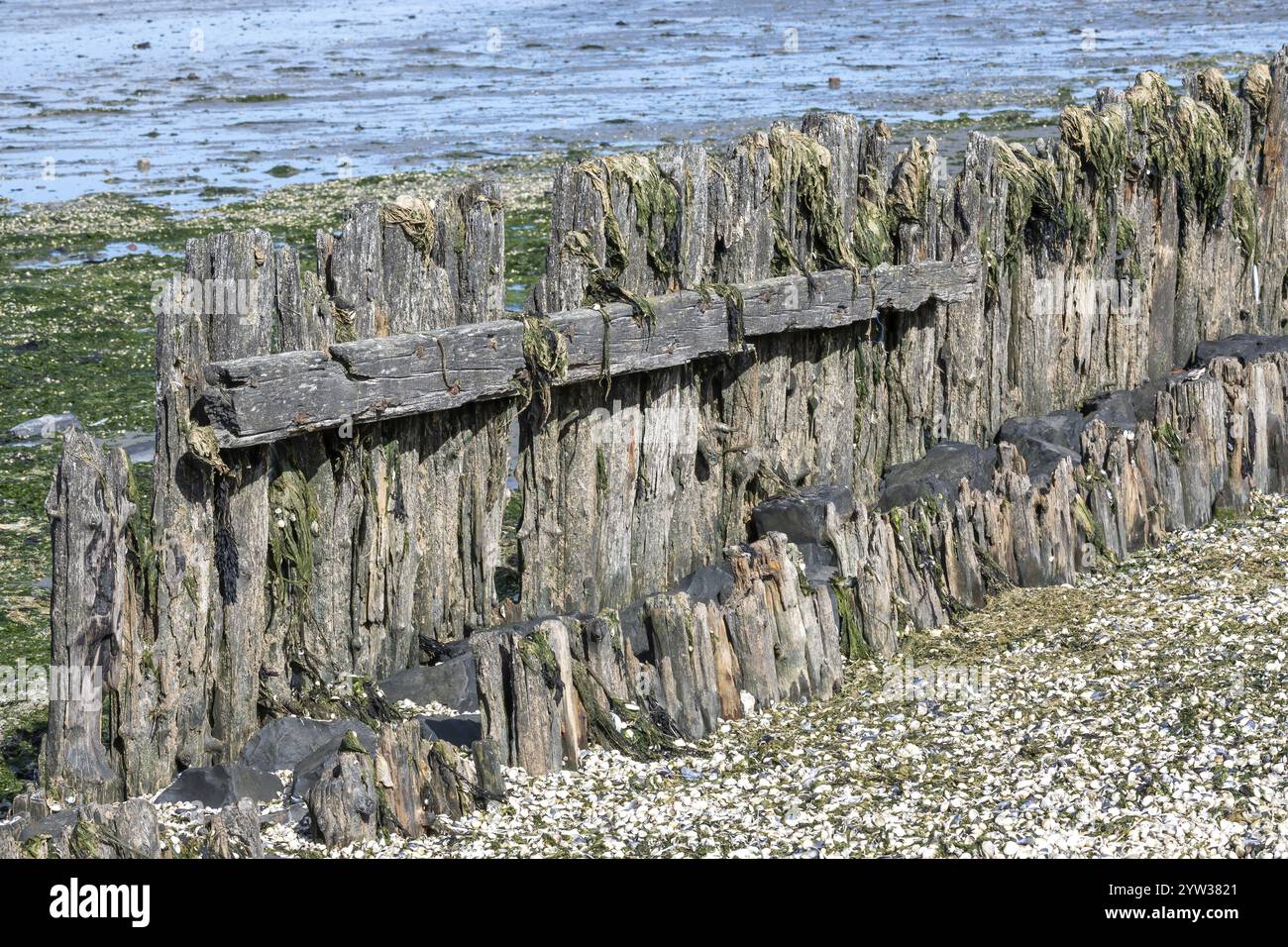 Old wooden piles hi-res stock photography and images - Alamy
