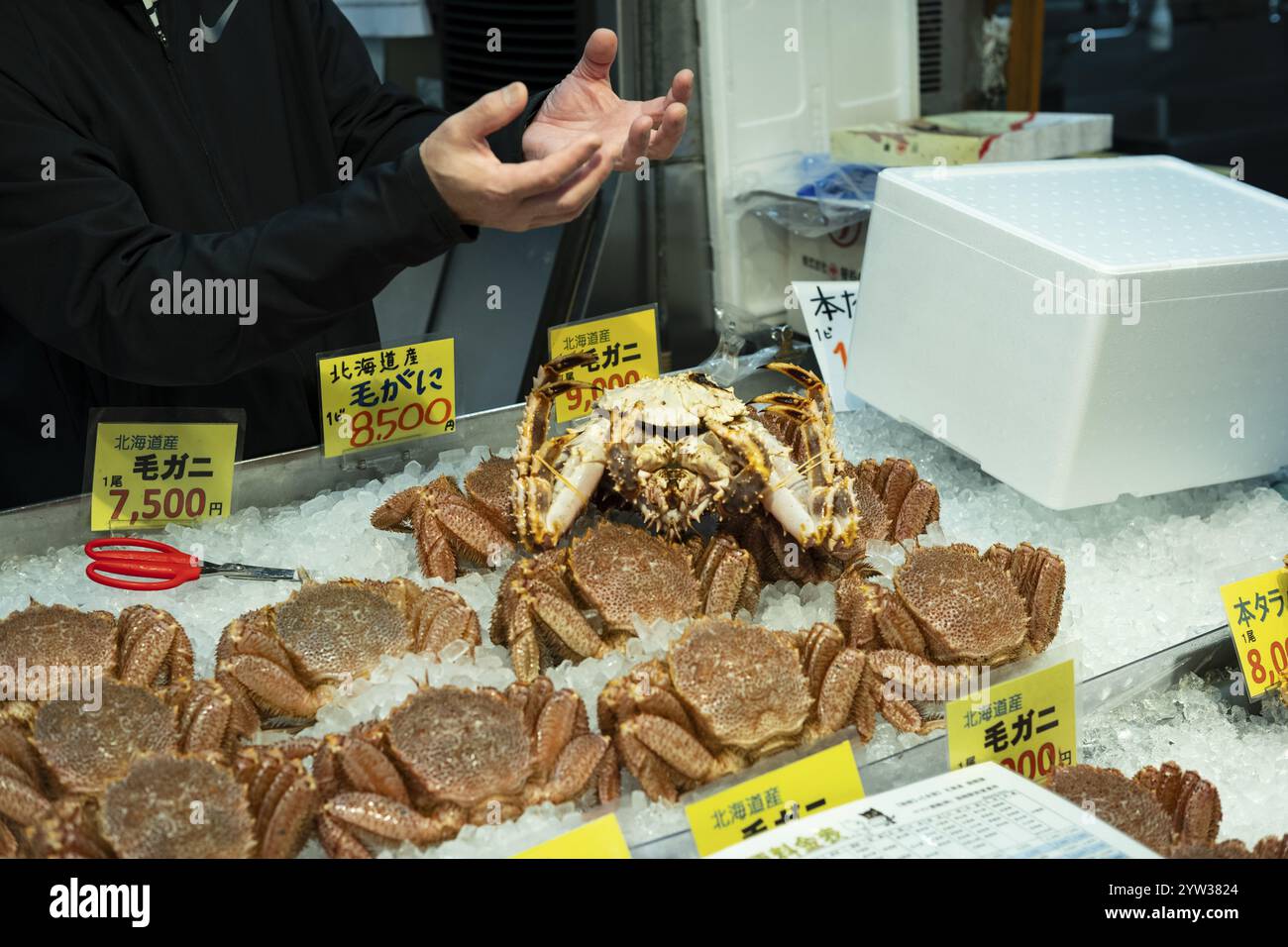 Crab spider, fish market, Hakodate, Hokkaido, Japan, Asia Stock Photo ...
