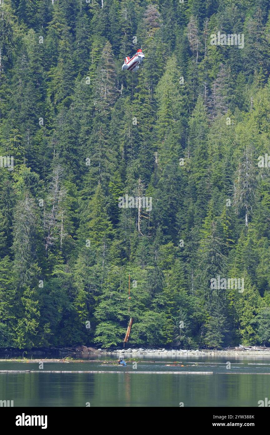 Helicopter logging hi-res stock photography and images - Alamy