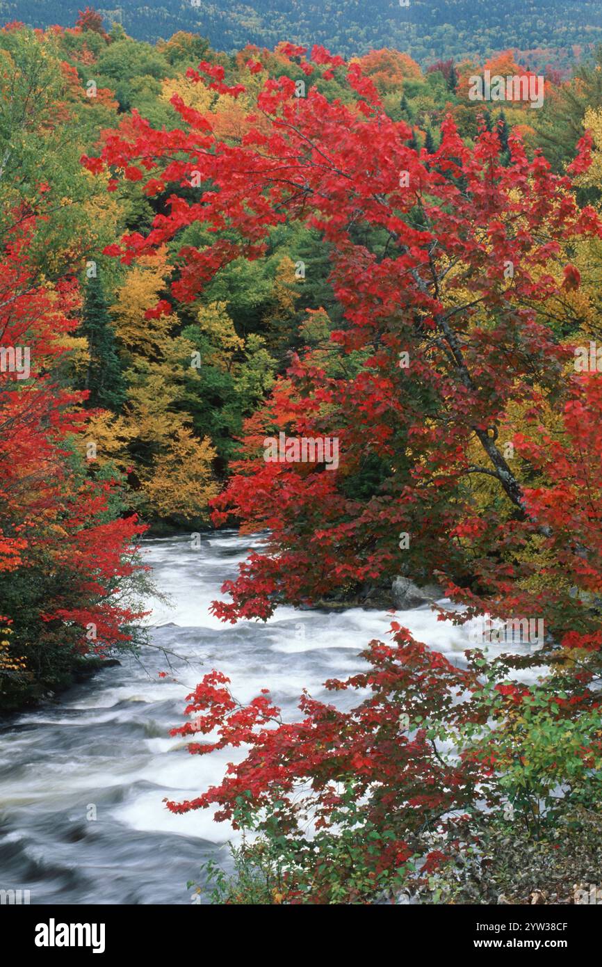 Magalloway river hi-res stock photography and images - Alamy