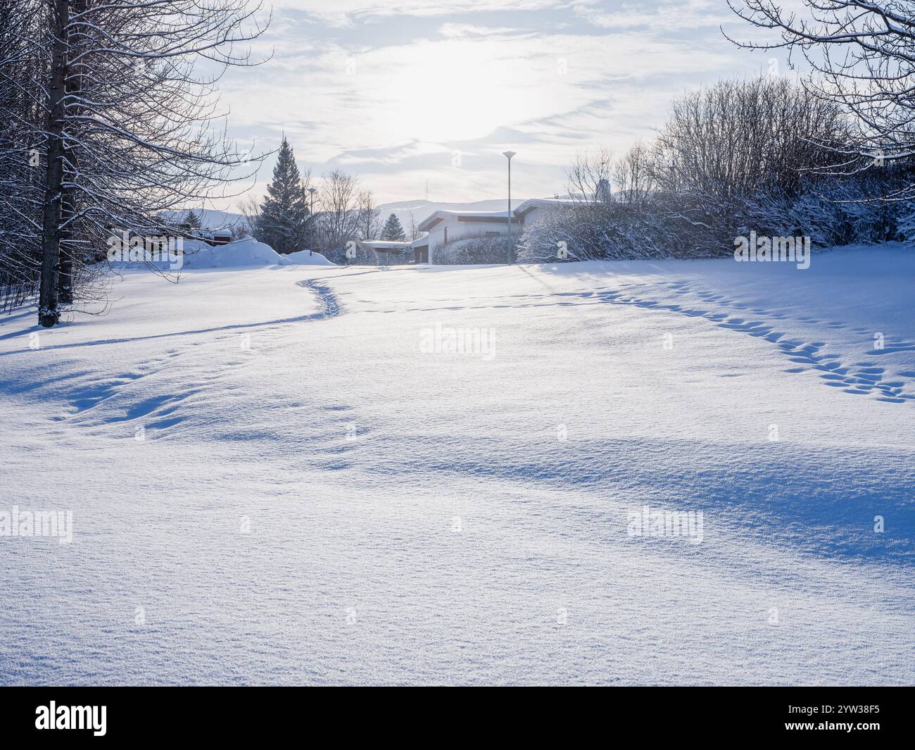 Bright snowy pathway hi-res stock photography and images - Alamy