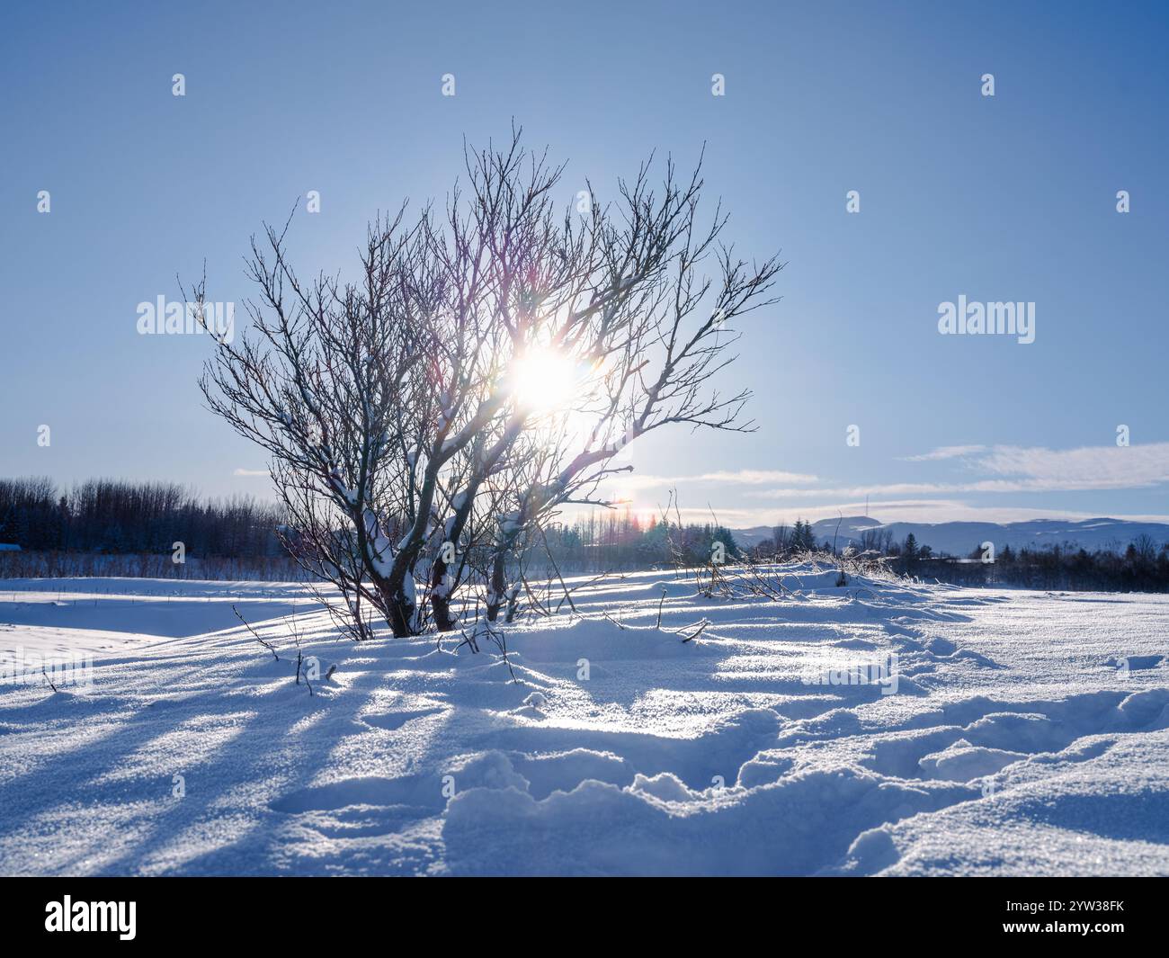 Sunlight filtering through snow hi-res stock photography and images - Alamy