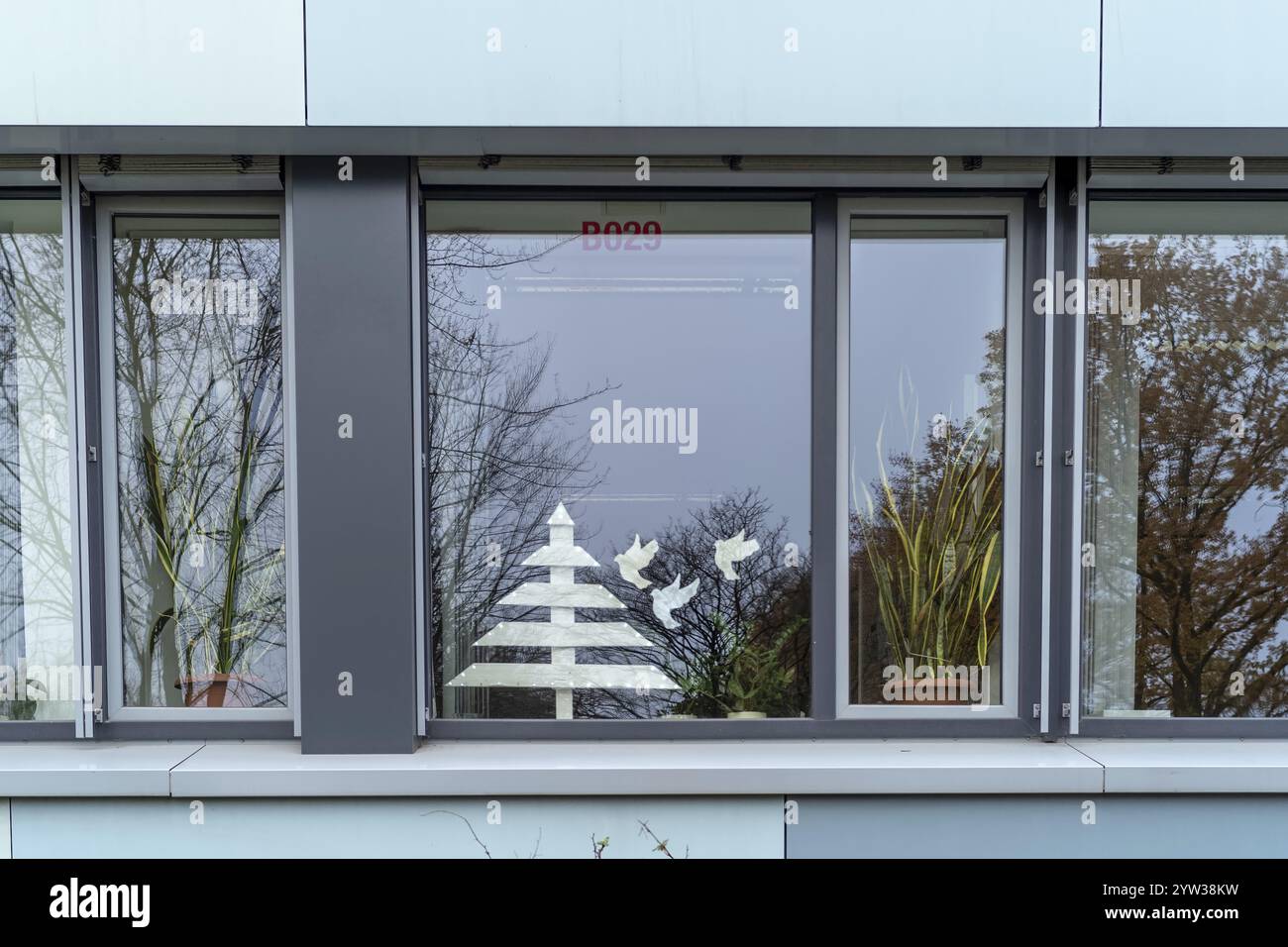 Windows of a building with christmas tree Stock Photo - Alamy