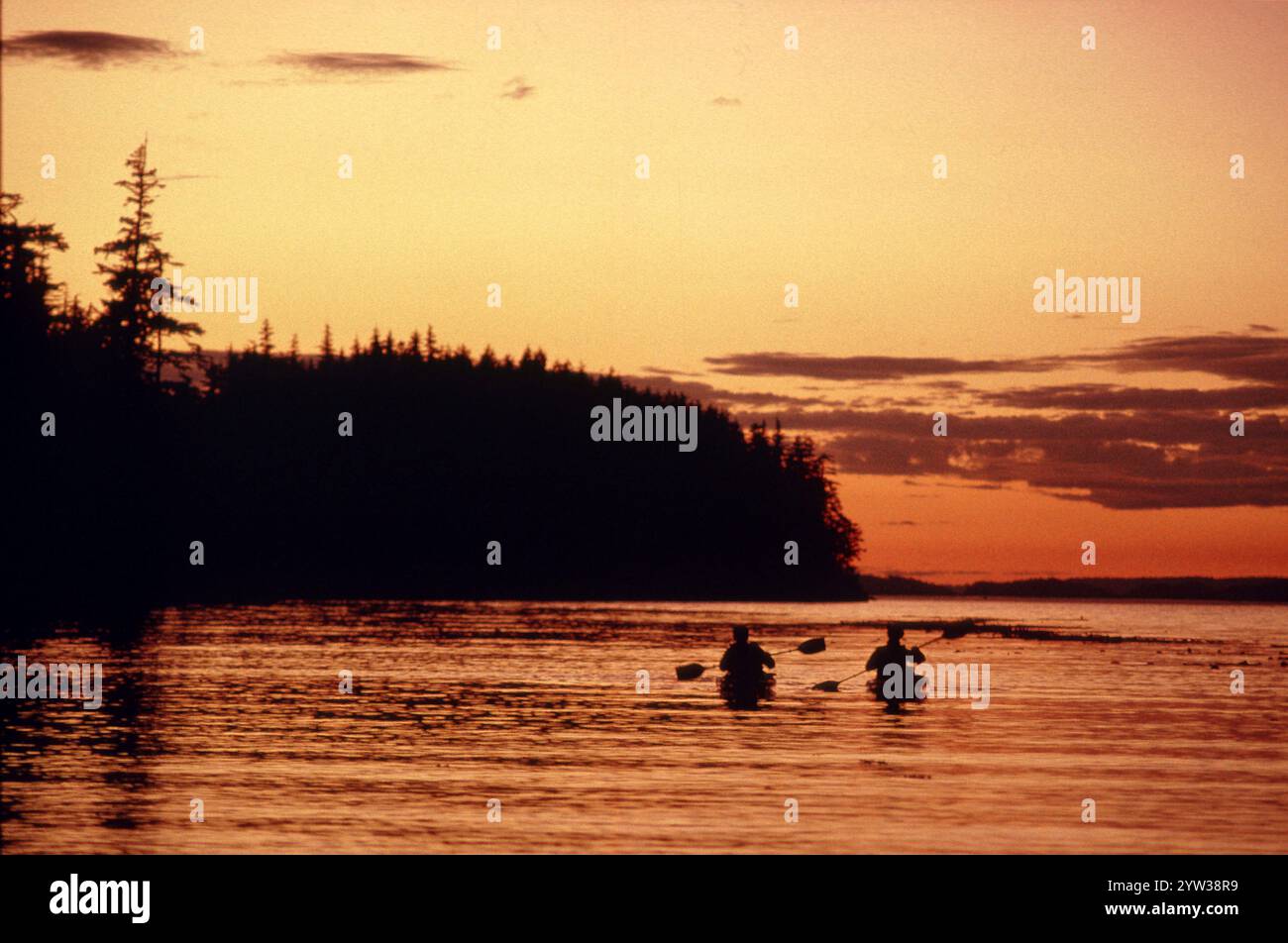 Kayaks, Canoes in evening light, near Robson Bight, Vancouver Island ...